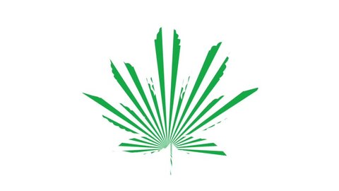 Green Weed Leaf Animation Alpha Channel Stock Footage Video (100% ...
