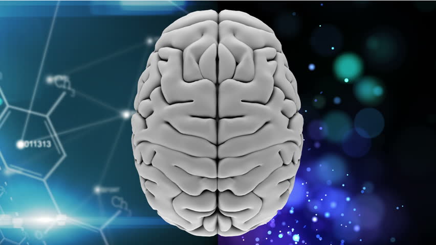Digitally Animated White Brain with Stock Footage Video (100% Royalty ...