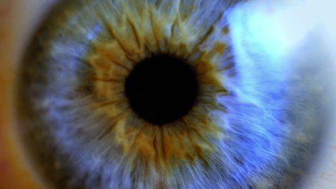 7,711 Zoom into eye Stock Video Footage - 4K and HD Video Clips ...
