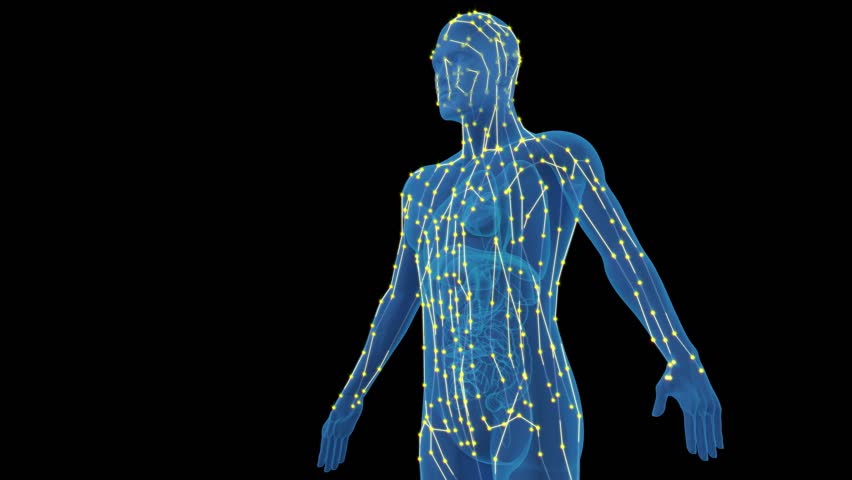 Human Meridians Stock Video Footage - 4K and HD Video Clips | Shutterstock