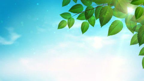 Spring Video Background Light Effects Animated Stock Footage Video (100 ...