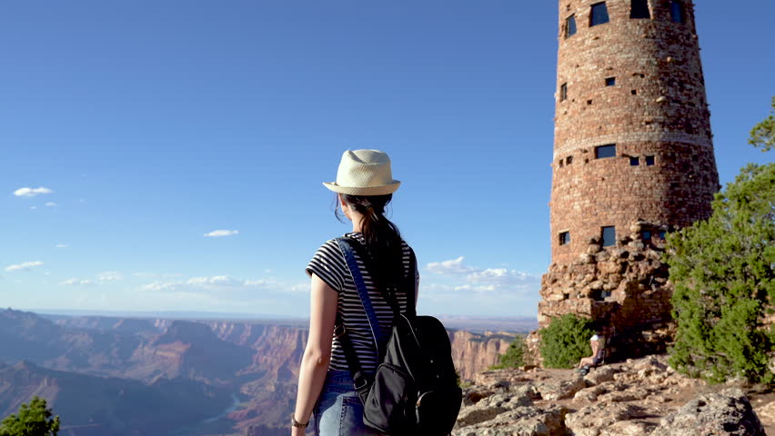 6 Grand arm chair Stock Video Footage - 4K and HD Video Clips ...