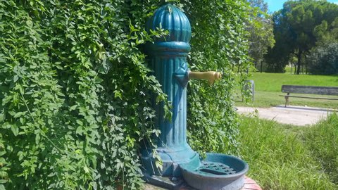 Column Green Color Tap Drinking Water Stock Footage Video (100% Royalty ...