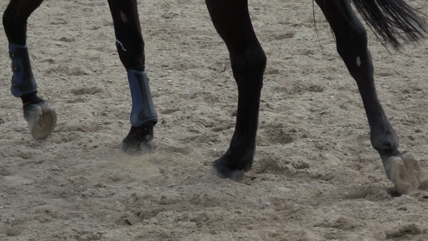 horse hooves running through sandy field Stock Footage Video (100% ...