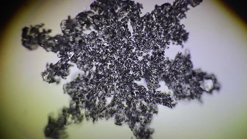 Snowflake Formation Process Under Microscope Stock Footage Video (100% ...