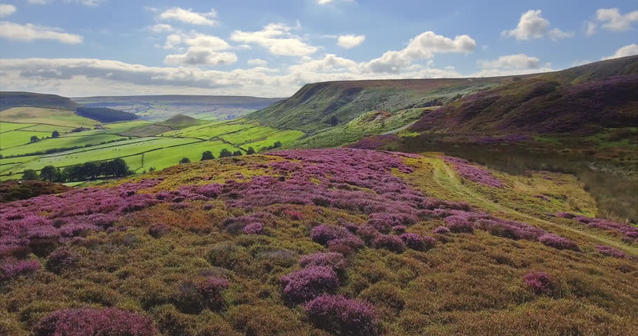 North York Moors Stock Video Footage - 4K and HD Video Clips | Shutterstock