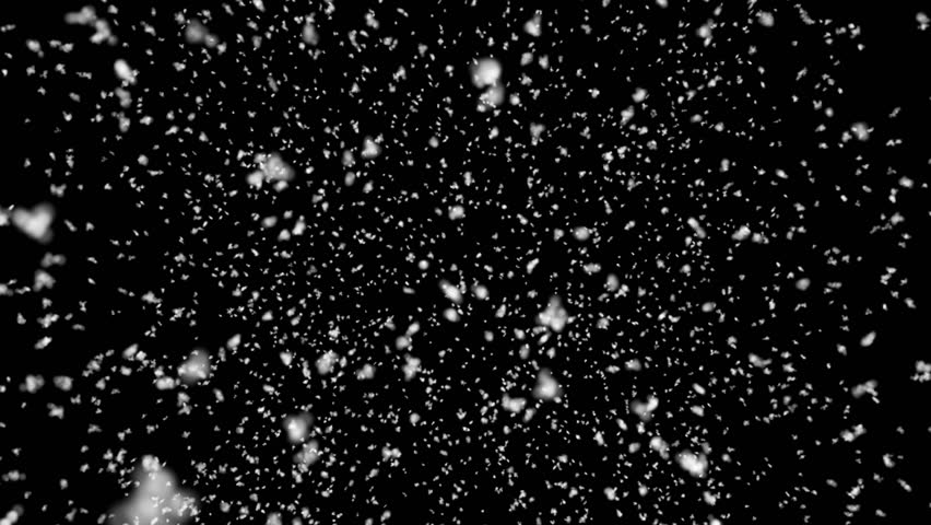 realistic snow falling - isolated on Stock Footage Video (100% Royalty ...