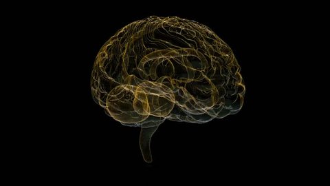 Rotating Human Brain Polygon Mesh Human Stock Footage Video (100% ...