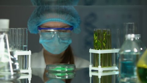 Researcher Comparing Green Preservative Agent Plant Stock Footage Video ...