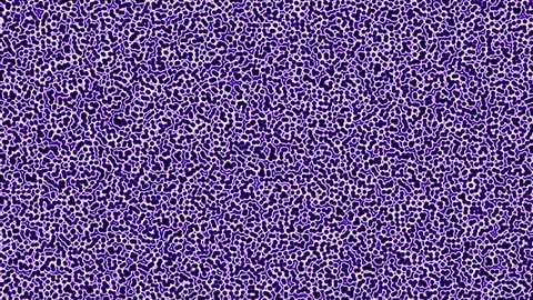 Television Rgb Color Static Noise Tv Stock Footage Video (100% Royalty ...