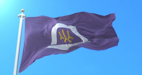 Flag Yamanashi Prefecture Japanese Japan Loop Stock Footage Video (100% ...