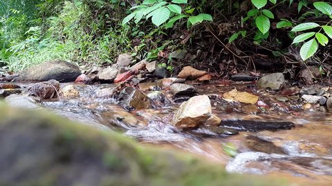 Small River Stream Stock Footage Video (100% Royalty-free) 1026609689 ...
