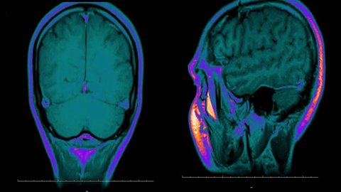 3d animation slow spinning transparent head Stock Footage Video (100% ...