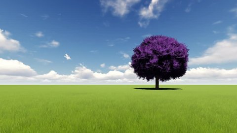 One Pink Tree Landscape 4k Stock Footage Video (100% Royalty-free ...