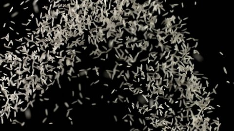 190 Cereal explosion Stock Video Footage - 4K and HD Video Clips ...