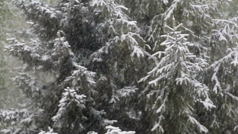 Snowfall Summer Stock Footage Video (100% Royalty-free) 1027131158 ...