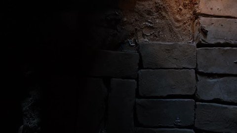 Man Breaks Bricks Analysis Floor Bricks Stock Footage Video (100% ...