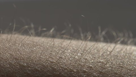 Goosebumps on skin Stock Video Footage - 4K and HD Video Clips ...