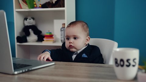 Cute Baby Boss Working Laptop Sitting Stock Footage Video (100% Royalty ...