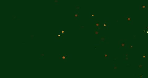 Fire Embers Green Screen Stock Footage Video (100% Royalty-free ...