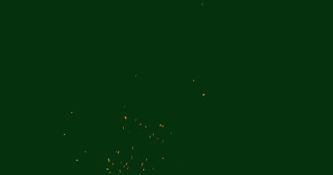 Fire Embers Green Screen Stock Footage Video (100% Royalty-free ...