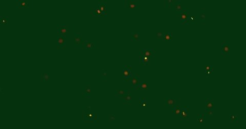 Fire Embers Green Screen Stock Footage Video (100% Royalty-free ...