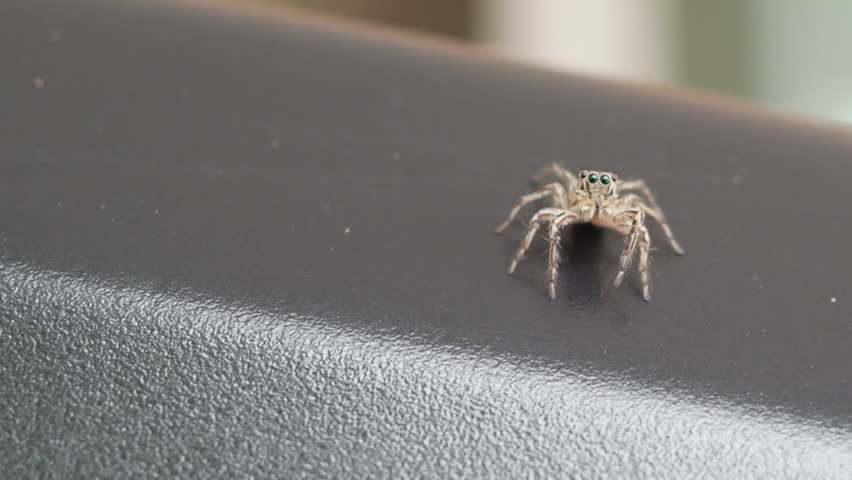 small spider look camera Stock Footage Video (100% Royalty-free ...