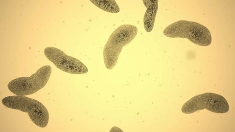 Pickle Seamless Pattern Stock Vector (Royalty Free) 1053130559