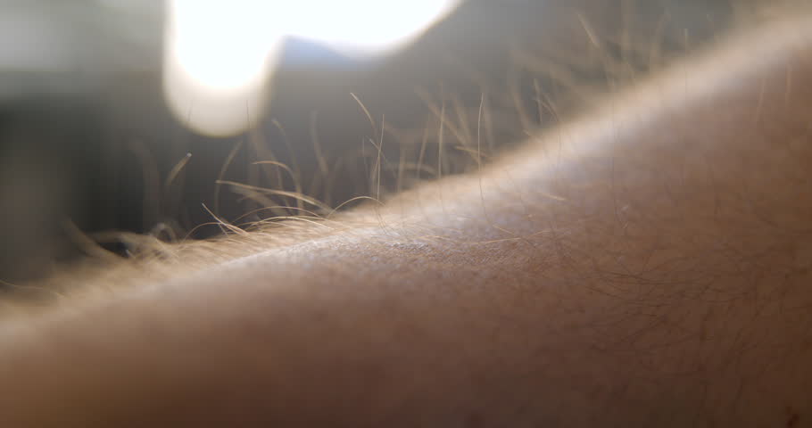 arm hair rising emotional feeling 4k Stock Footage Video (100% Royalty ...