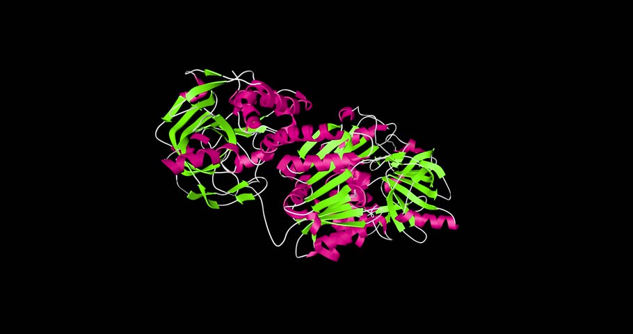 Protein Model Revolving Colorful Proteins Stock Footage Video (100% ...
