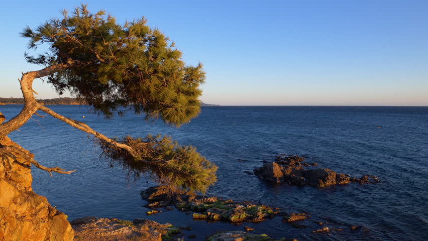 Mistral point Stock Video Footage - 4K and HD Video Clips | Shutterstock