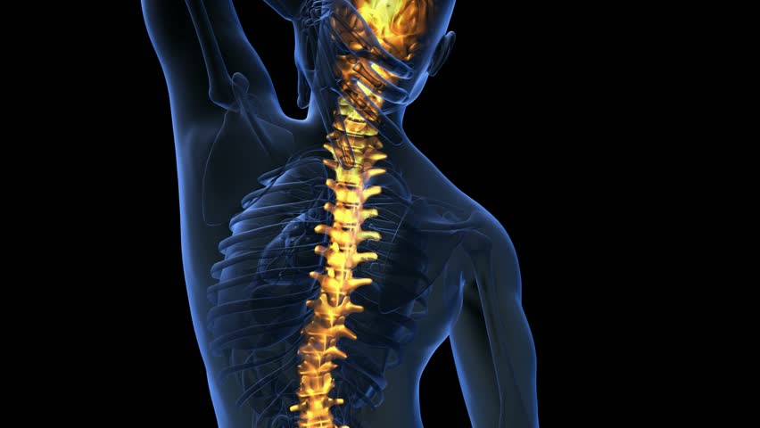 Backache in Back Bones Stock Footage Video (100% Royalty-free ...
