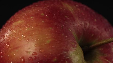 menstrual blood microflora bacteria under microscope Stock Footage ...