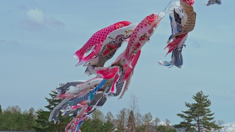 Colorful Carp Streamers Koinobori Hakuba Nagano Stock Footage Video ...