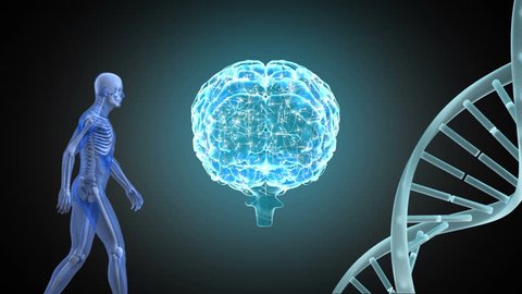 Side View Body Toroidal Field Stock Illustration 1945411669