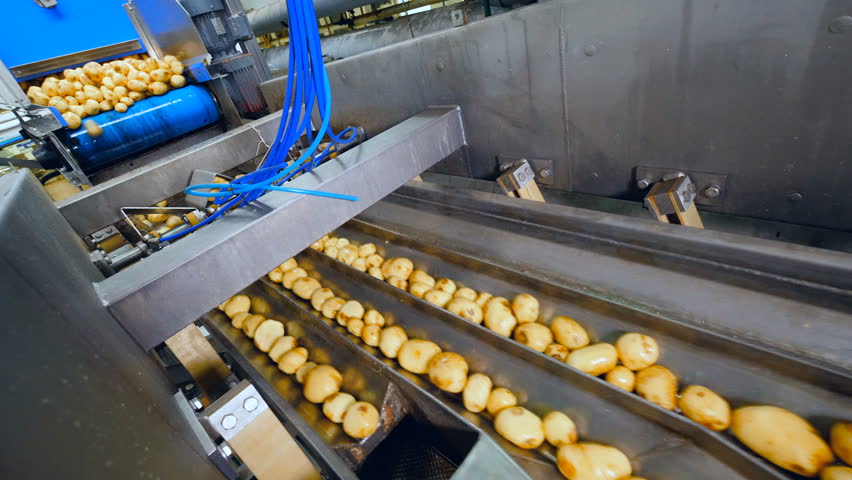 potatoes falling into ducts conveyor Stock Footage Video (100% Royalty ...