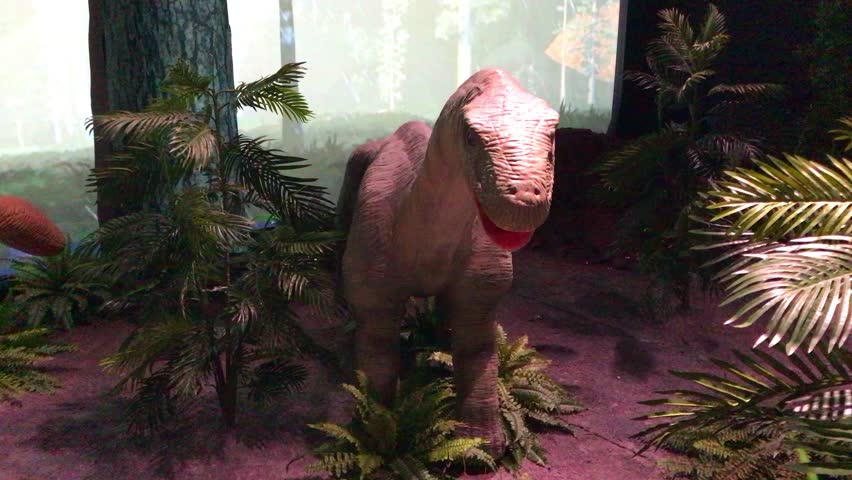 Exhibition Realistic Looking Brontosaurus Baby Dinosaur Stock Footage ...
