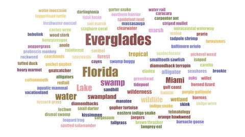 Everglades Word Cloud Animated Isolated On Stock Footage Video (100% ...