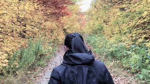 Healthy Woman Enjoying Autumn Walk Mountain Stock Footage Video (100% ...