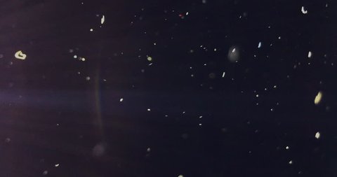 Huge Dust Particles Flying Around Stock Footage Video (100% Royalty ...