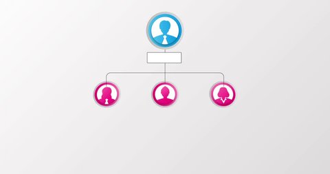 Organizational chart Stock Video Footage - 4K and HD Video Clips ...