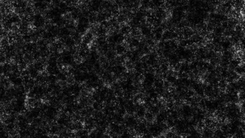 Abstract Black White Fractal Noise Texture Stock Footage Video (100% ...