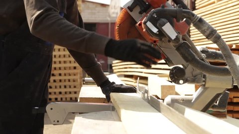 Sawmill Process Harvesting Wood Guy Sawing Stock Footage Video (100% ...