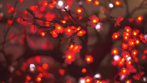 Red Sakura Tree Blurred Background Stock Footage Video (100% Royalty ...