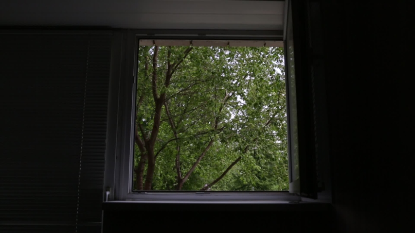view window green trees Stock Footage Video (100% Royalty-free ...