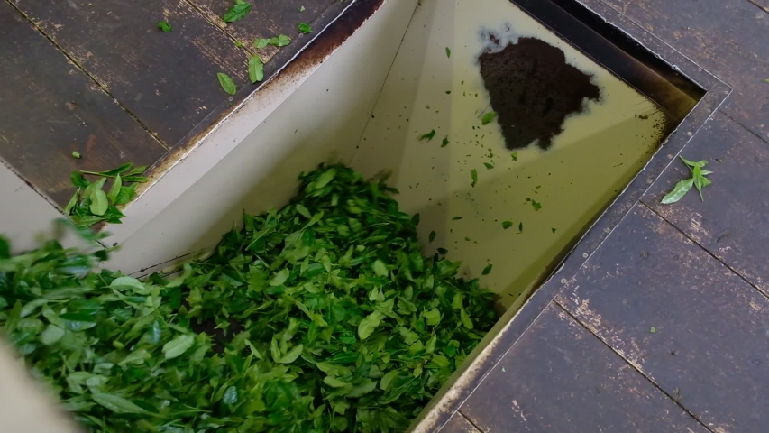Japanese Green Tea Processing Factory, Stock Footage Video (100% ...