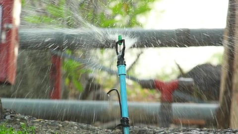 Springer Watering Plant Gardenclose Water Sprinklerwater Stock Footage ...