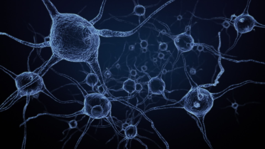 3d Animation Present Neuron System,human Stock Footage Video (100% ...