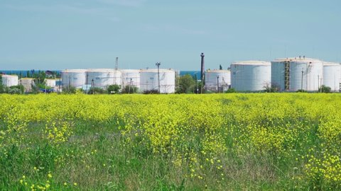 Oil Tanks On Background Field Beautiful Stock Footage Video (100% ...