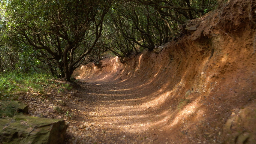 Sunken path Stock Video Footage - 4K and HD Video Clips | Shutterstock